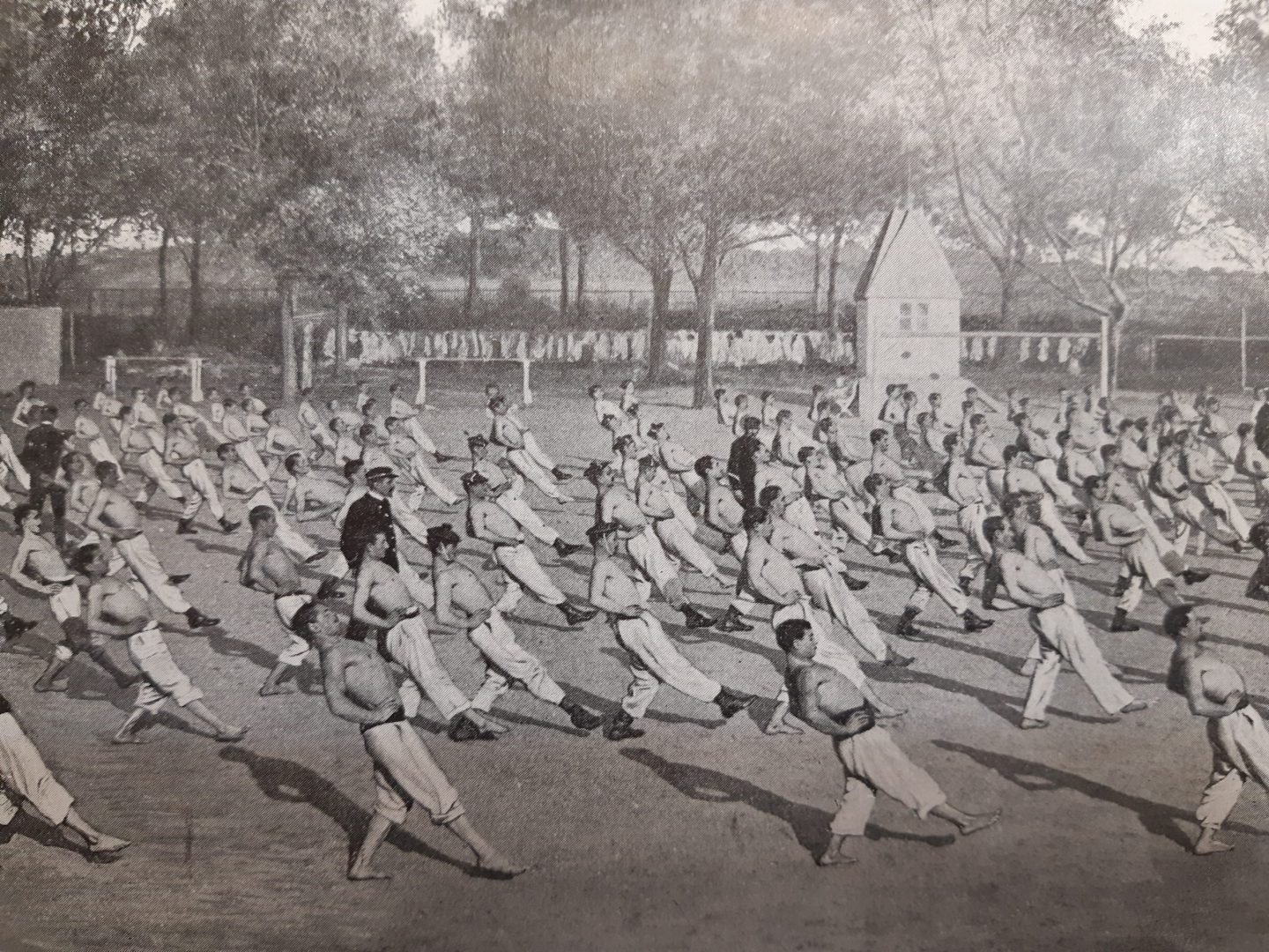 La Naissance de la Méthode Naturelle - Histoire